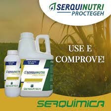 NATIVO SC 300 1L | Agriboi Comercio e Representação